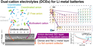 Stable functional electrode–electrolyte interface formed by multivalent ...