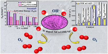 W-promoted OER kinetics of bimetallic hydroxide: an experimental ...