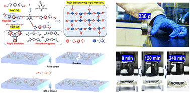 Rigid-flexible dynamic polymers based on borate bonds - Journal of ...
