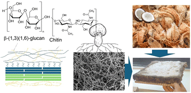 Mycelium–coir-based composites for sustainable building insulation ...