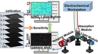 An optical sensor for in situ real-time detection of intermediate ...