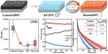 Tuning photoelectric conversion in hybrid perovskites by thermal ...