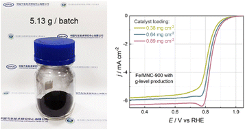 Gram-scale production of an Fe single atom catalyst and mass transfer ...