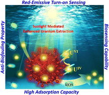 Sunlight-mediated photocatalytic uranium extraction from seawater: a ...