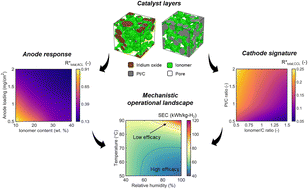 Probing the mechanistic role of the catalyst layer microstructure in ...