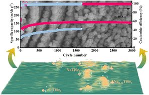 Two-dimensional self-assembled TiSe2 micro–nanoparticles toward high ...