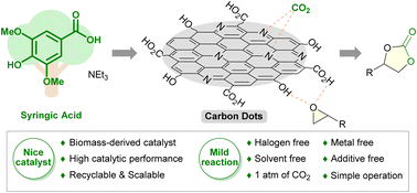 A metal-, solvent-, halogen-, and additive-free catalysis for CO2 ...