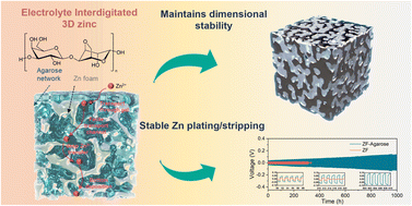 Gel electrolyte interdigitation enables stable high areal capacity ...