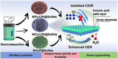 Electrodeposition of oxyanion films as universal chloride ion-repelling ...
