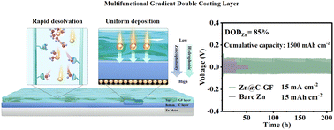 Design of a multifunctional gradient double coating layer for a stable ...