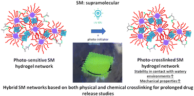 Double-crosslinkable poly(urethane)-based hydrogels relying on ...