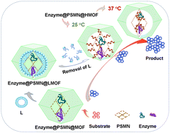Encapsulation of an enzyme-immobilized smart polymer membrane in a ...