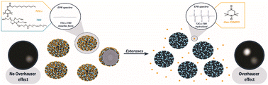 A radical containing micellar probe for assessing esterase enzymatic ...