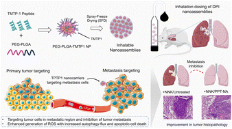 Targeted delivery of the metastasis-specific tumour homing TMTP1 ...