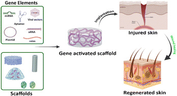 Advances in skin gene therapy: utilizing innovative dressing scaffolds ...