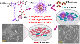 A chemically engineered water-soluble block copolymer for redox ...