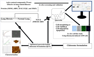 In silico screening and validation of natural compounds with ...