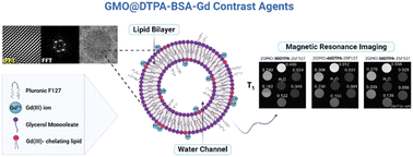 Nanoassemblies with Gd-chelating lipids (GMO@DTPA-BSA-Gd) as a ...