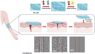 Multi-responsive shape memory and self-healing hydrogels with gold and ...