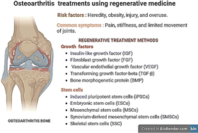 Advancements in regenerative medicine: a comprehensive review of stem ...