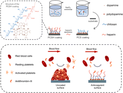 Development of substrate-independent heparin coating to mitigate ...