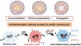 Polypeptide-based multilayer capsules with anti-inflammatory properties ...