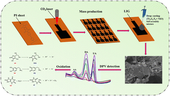A surface modified laser-induced graphene based flexible biosensor for multiplexed sweat ...