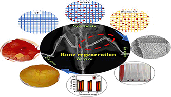 Cellulose-based bioactive material and turmeric-impregnated flexible ...