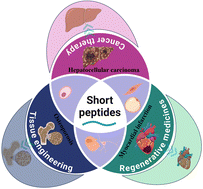 Programmable short peptides for modulating stem cell fate in tissue ...