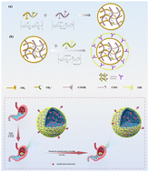 Core–shell hydrogel with synergistic super absorption and long-term ...