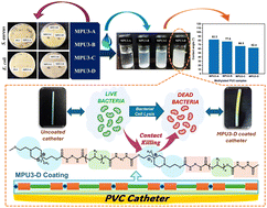 1,4-Bis(2-hydroxyethyl)piperazine-derived water-dispersible and ...