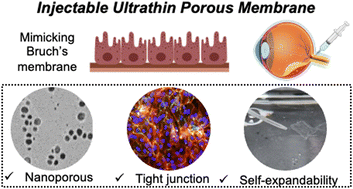 Injectable ultrathin porous membranes harnessing shape memory polymers ...