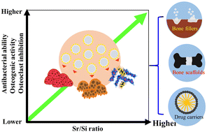 Exploring processing–structure–property relationships of chemically ...