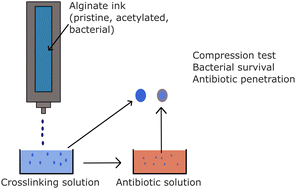 Acetylation of alginate enables the production of inks that mimic the ...