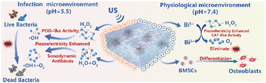 A piezoelectric hydrogel containing bismuth sulfide with cationic ...