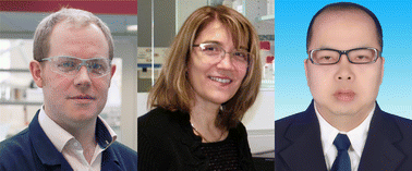 Functional framework materials for biomedical applications - Journal of ...