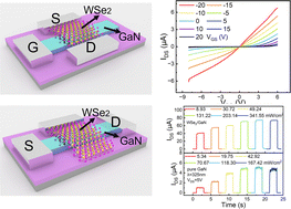 A dual-band photodetector based on a mixed-dimensional WSe2/GaN ...