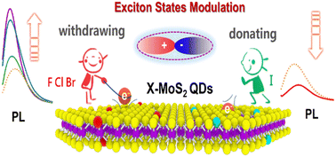 Halogen ion doping mediated exciton state modulation in MoS2 quantum ...