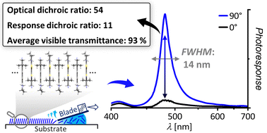 Polarized, color-selective and semi-transparent organic photodiode of ...