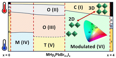 Layered methylhydrazinium lead halide perovskites: new crystal ...