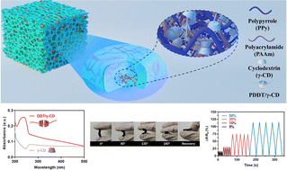PPDA hybrid: a flexible and biocompatible platform for supercapacitor ...