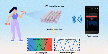 Biomimetic photonic crystal double-network hydrogel for visual and ...