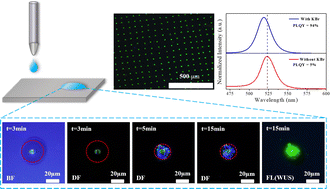 Highly efficient and stable Cs4PbBr6@KBr color conversion films ...