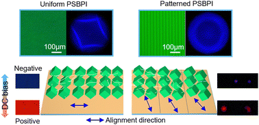 Three-dimensionally programmable soft crystals toward geometric phase ...