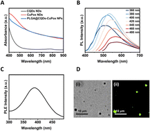 Integrated H2O2 self-supplying PLGA@CQDs–CuPox nanoparticles enabling accumulation of copper ...