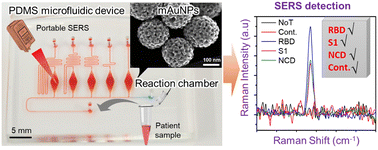A plasmonic mesoporous gold-based SERS-microfluidic platform for the ...