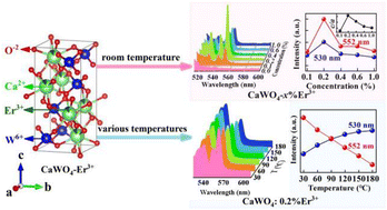Effect of phase structure on the photoluminescence properties of Er3 ...