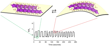 Bismuth drives the morphology and piezoresistivity of lead-free (TMSO ...