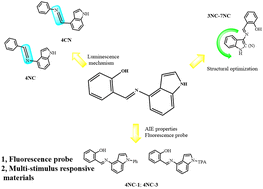 Indole and indazole derivatives containing salicylaldimine as ...