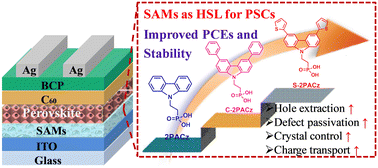 Simultaneously enhancing hole extraction and defect passivation with ...